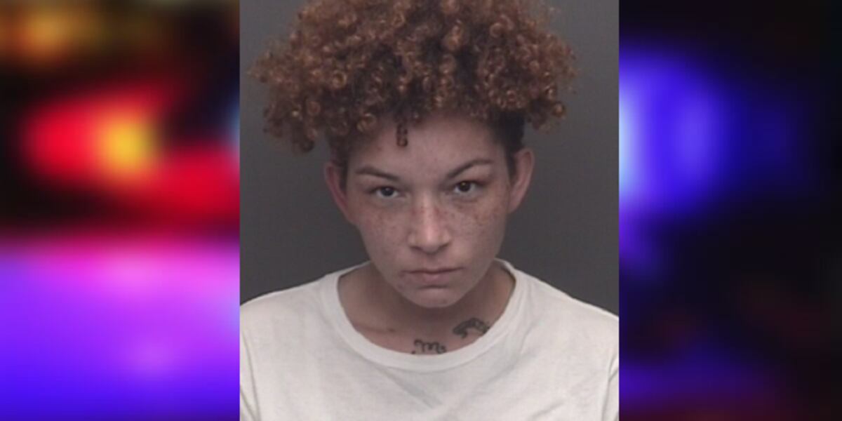 Affidavit Woman Arrested After Allegedly Hitting Man With Car 6281